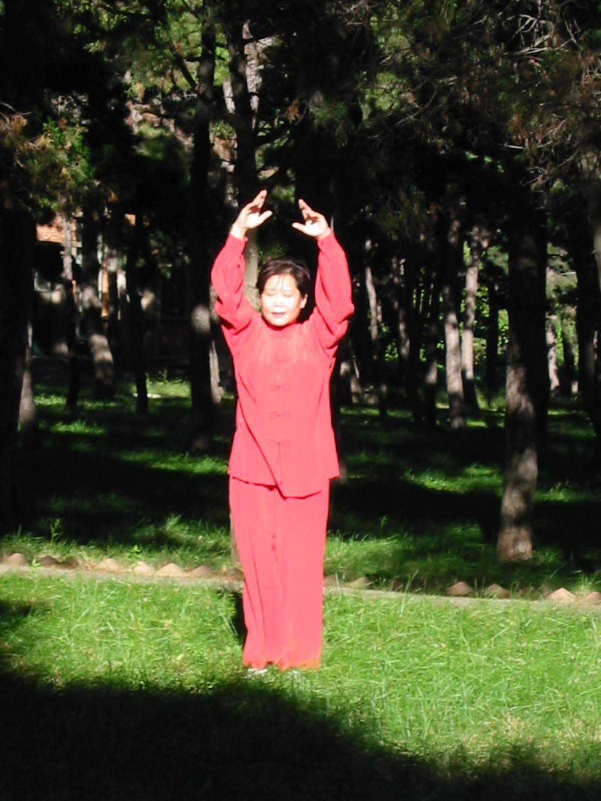 The Power of Woman's Qigong for Female Health - The International ...