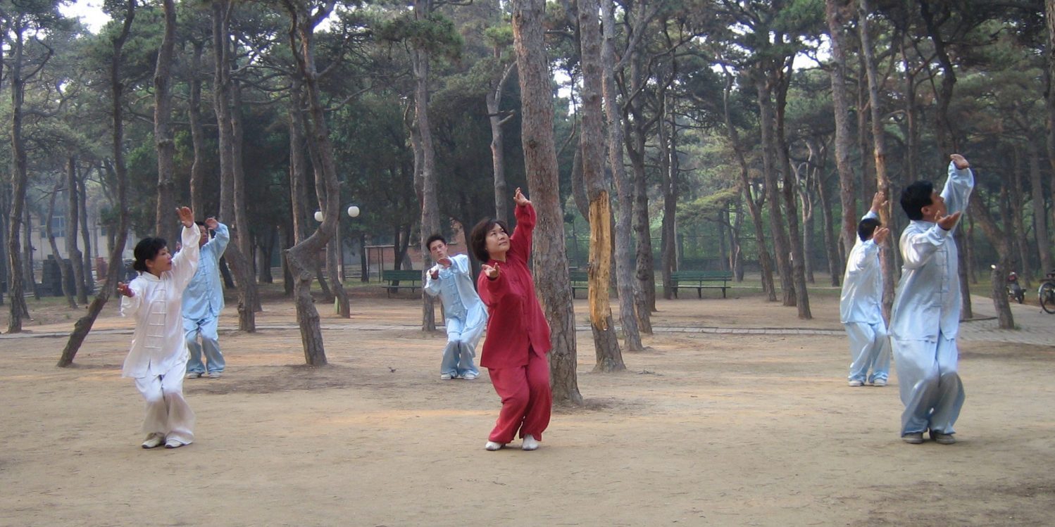 Qigong for Health! - The International Qigong Foundation, Inc