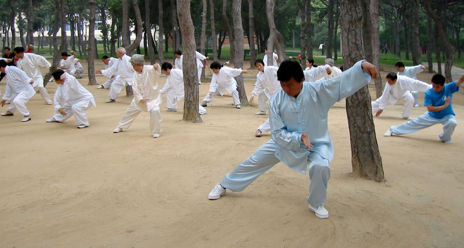 Tai Chi for Health - The International Qigong Foundation, Inc